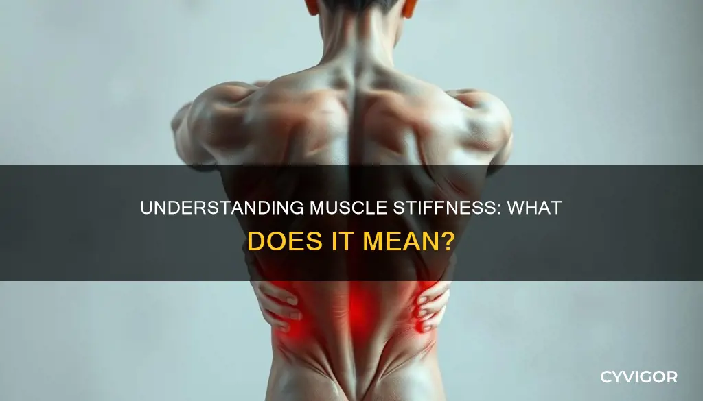 Understanding Muscle Stiffness: What Does It Mean? | CyVigor