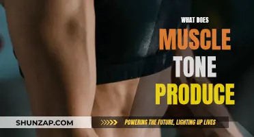 Understanding Paraspinal Muscles: Their Function And Role In Health ...