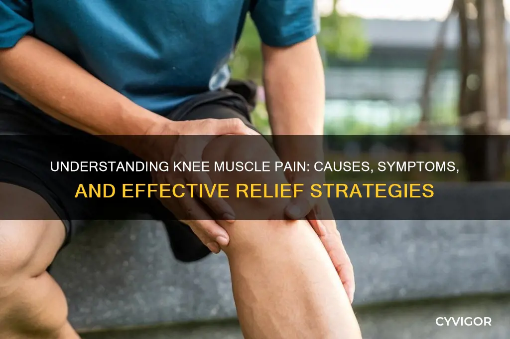 Understanding Knee Muscle Pain: Causes, Symptoms, And Effective Relief ...