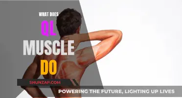 Understanding The Pronation Muscle And Its Function | CyVigor