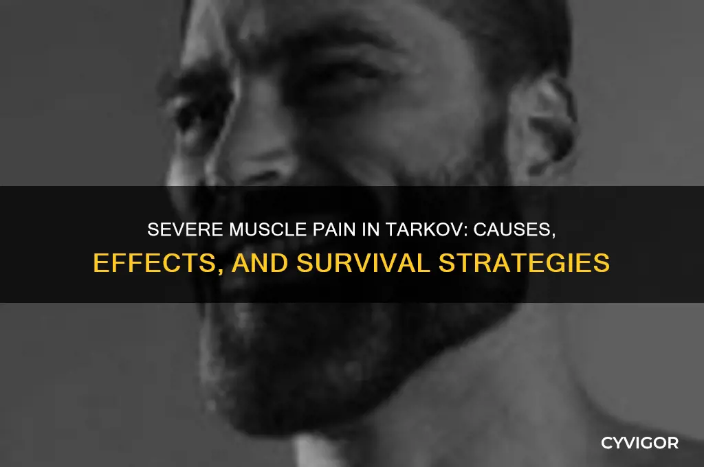 Severe Muscle Pain In Tarkov: Causes, Effects, And Survival Strategies ...