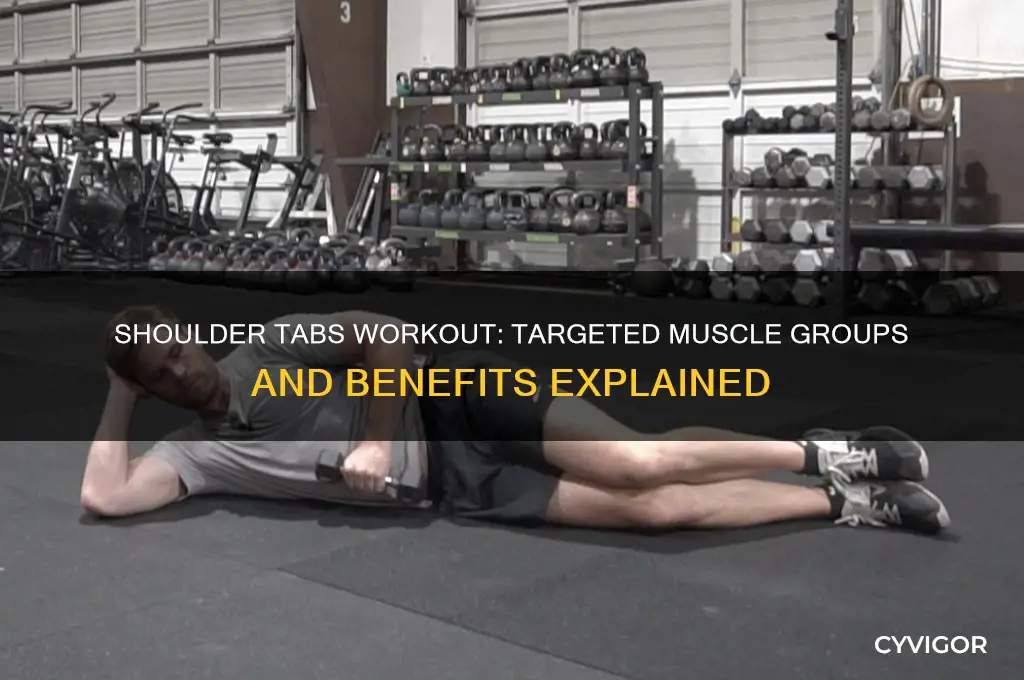 Shoulder Tabs Workout: Targeted Muscle Groups And Benefits Explained ...