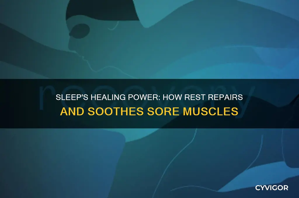 Sleep's Healing Power: How Rest Repairs And Soothes Sore Muscles | CyVigor