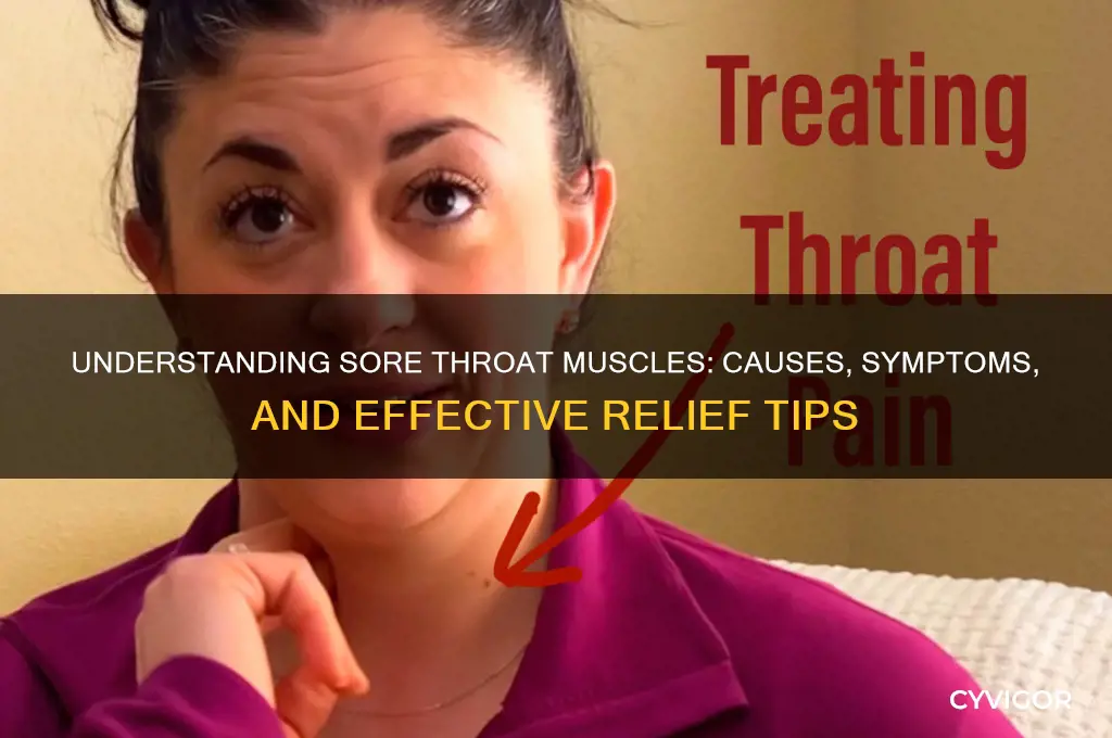 Understanding Sore Throat Muscles: Causes, Symptoms, And Effective ...