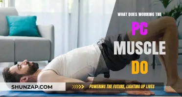 Olympic Lifting: Target Muscles And Full-Body Strength Benefits ...