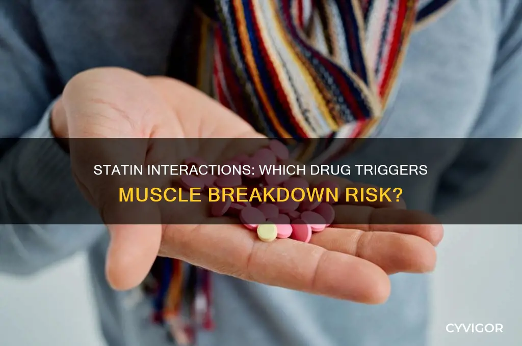Statin Interactions: Which Drug Triggers Muscle Breakdown Risk? | CyVigor