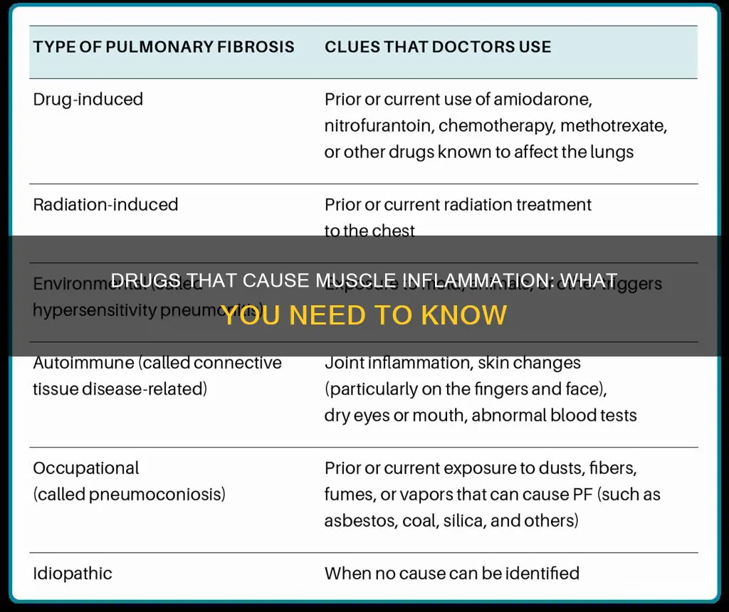 Drugs That Cause Muscle Inflammation: What You Need To Know | CyVigor