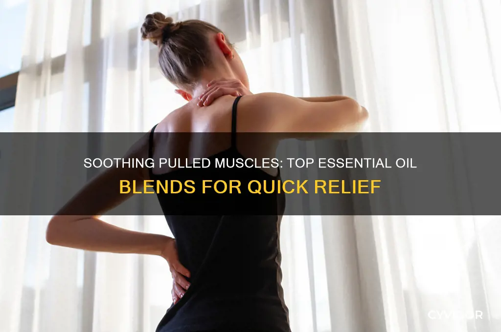 Soothing Pulled Muscles: Top Essential Oil Blends For Quick Relief ...