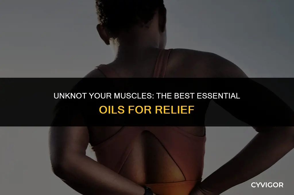 Unknot Your Muscles: The Best Essential Oils For Relief | CyVigor