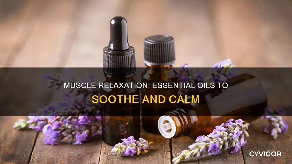 Muscle Relaxation: Essential Oils To Soothe And Calm | CyVigor
