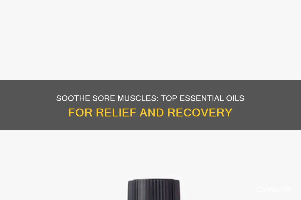 Soothe Sore Muscles: Top Essential Oils For Relief And Recovery | CyVigor
