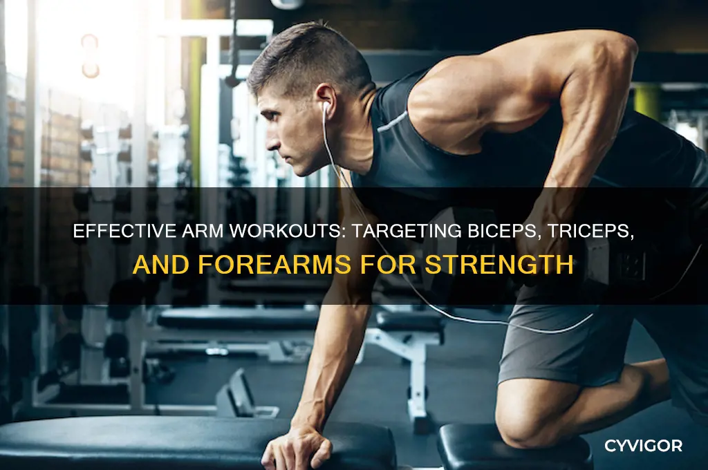 Effective Arm Workouts: Targeting Biceps, Triceps, And Forearms For ...
