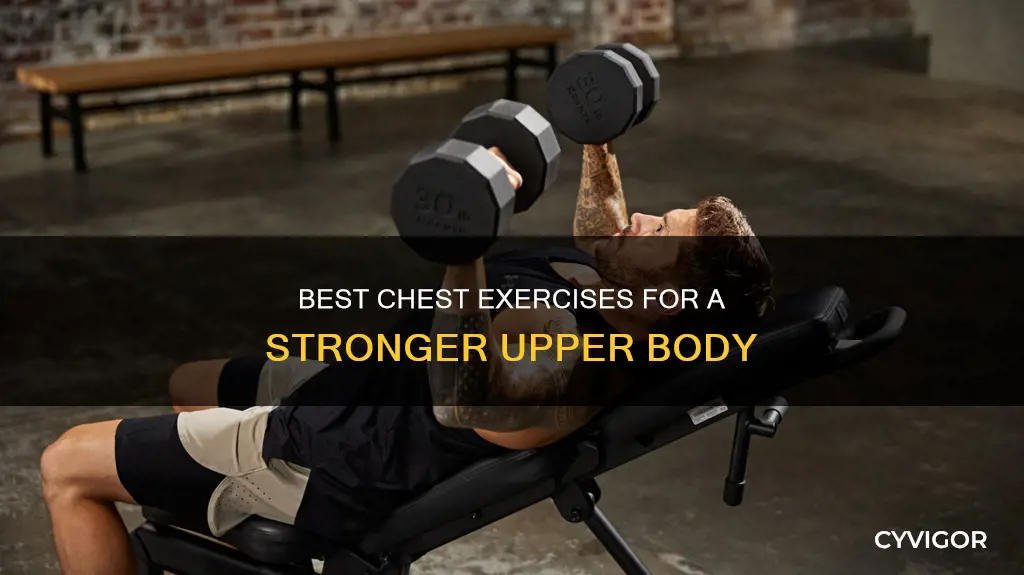Best Chest Exercises For A Stronger Upper Body | CyVigor
