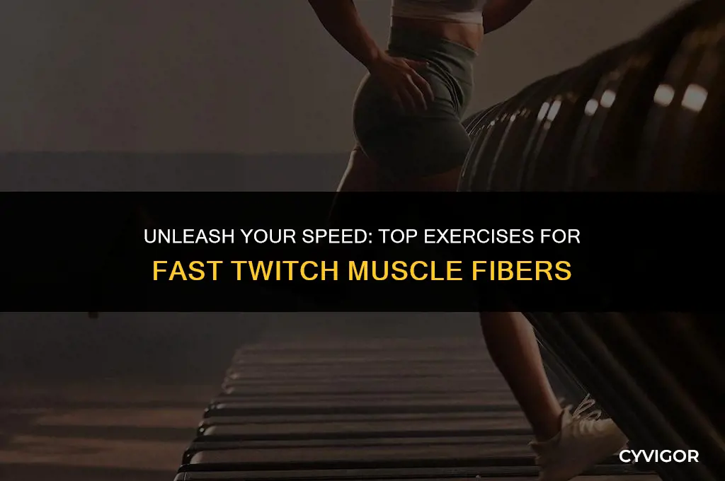 Unleash Your Speed: Top Exercises For Fast Twitch Muscle Fibers | CyVigor