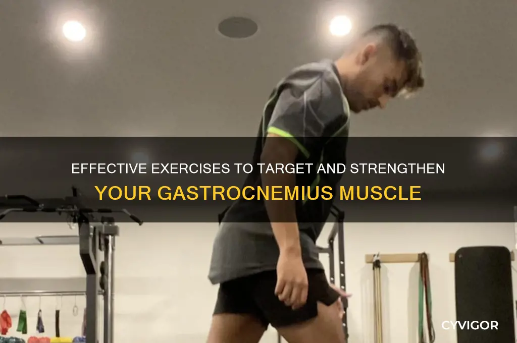 Effective Exercises To Target And Strengthen Your Gastrocnemius Muscle ...