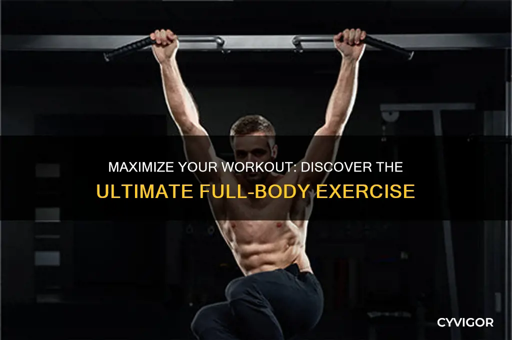 Maximize Your Workout: Discover The Ultimate Full-Body Exercise | CyVigor