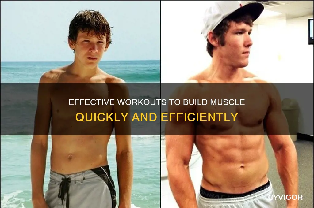 Effective Workouts To Build Muscle Quickly And Efficiently | CyVigor