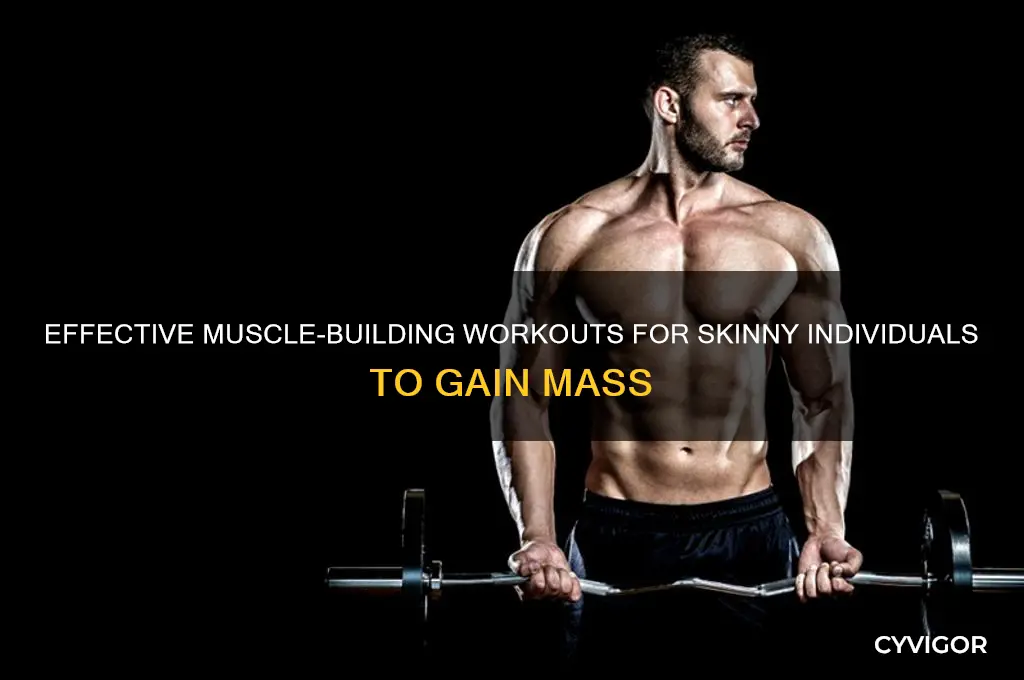 Effective Muscle-Building Workouts For Skinny Individuals To Gain Mass ...