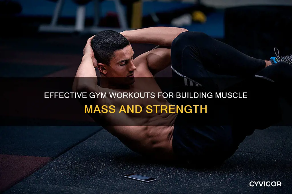 Effective Gym Workouts For Building Muscle Mass And Strength | CyVigor