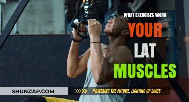 Ultimate Guide: Exercises And Muscles They Target Chart Explained | CyVigor
