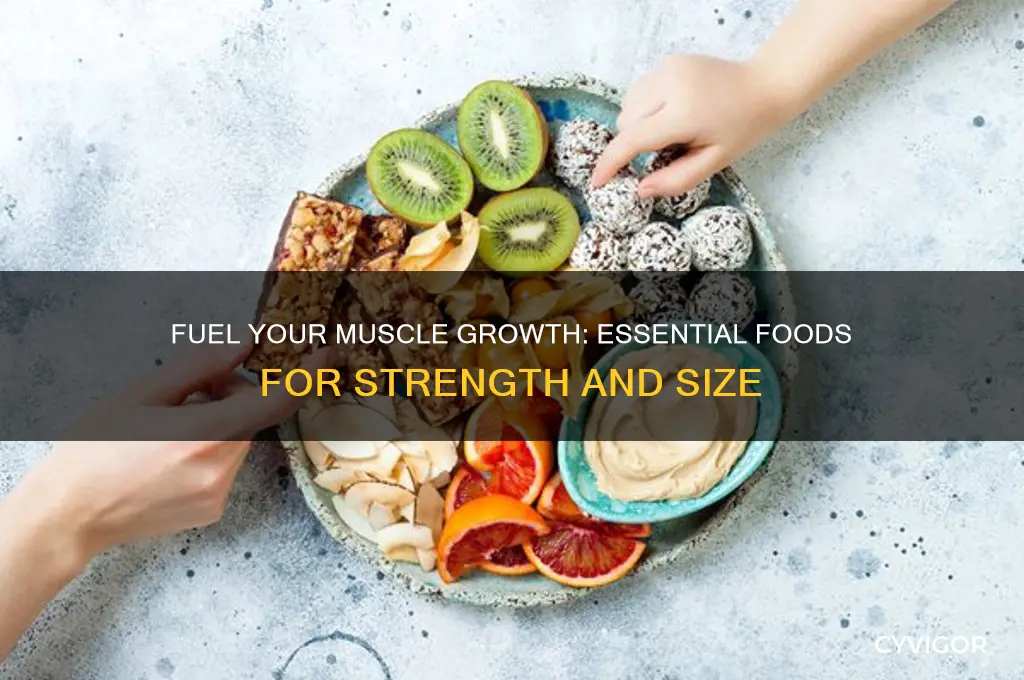Fuel Your Muscle Growth: Essential Foods For Strength And Size | CyVigor