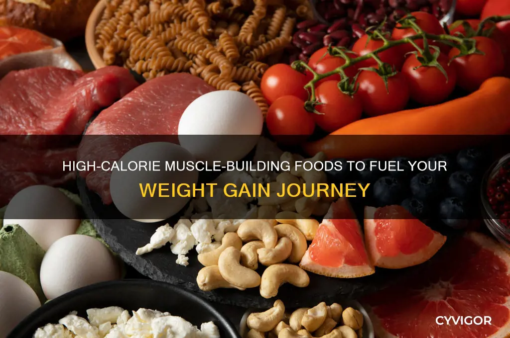 High-Calorie Muscle-Building Foods To Fuel Your Weight Gain Journey ...
