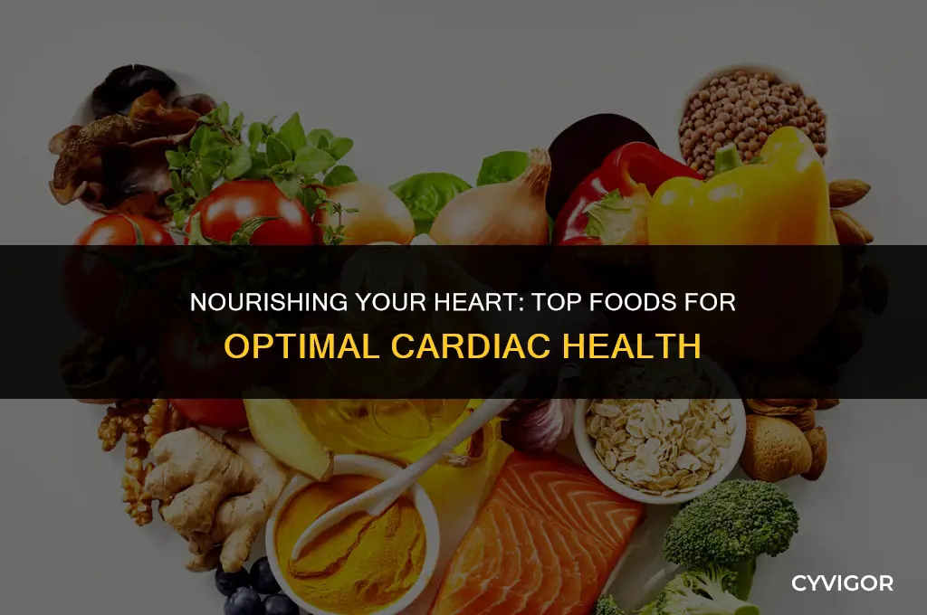 Nourishing Your Heart: Top Foods For Optimal Cardiac Health | CyVigor