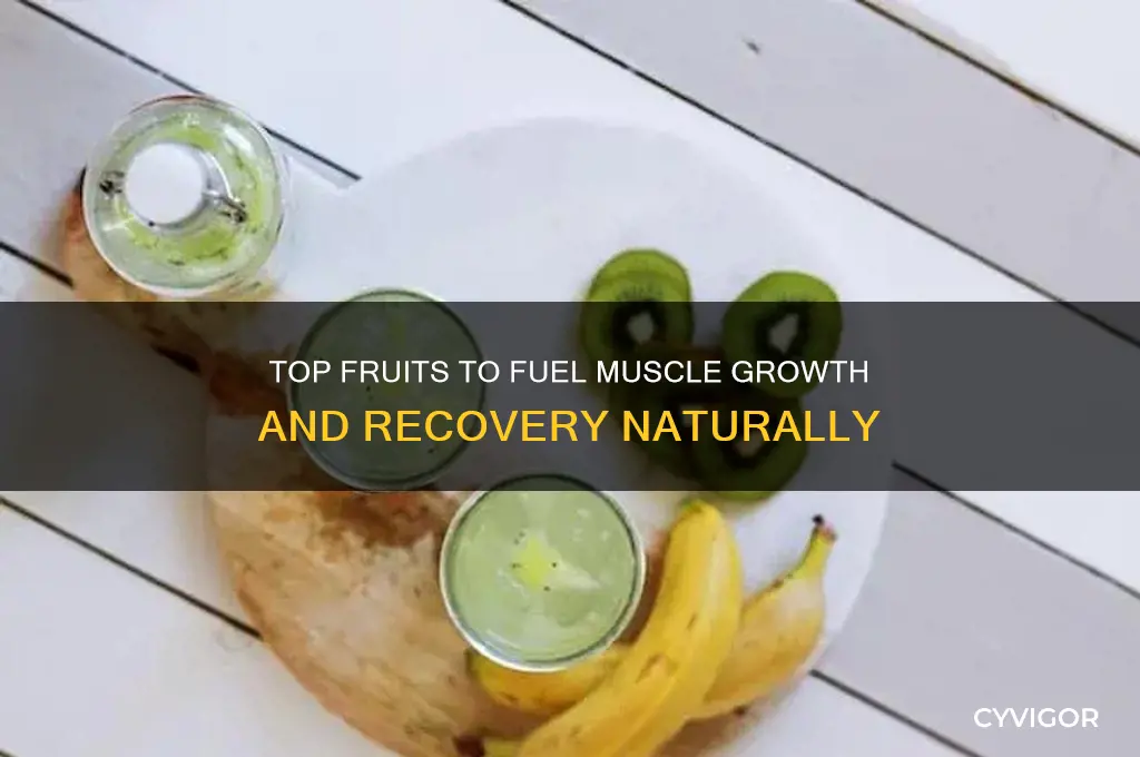 Top Fruits To Fuel Muscle Growth And Recovery Naturally | CyVigor