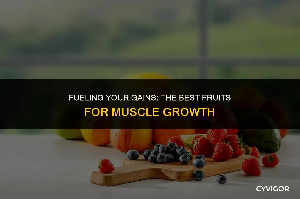 Fueling Your Gains: The Best Fruits For Muscle Growth | CyVigor