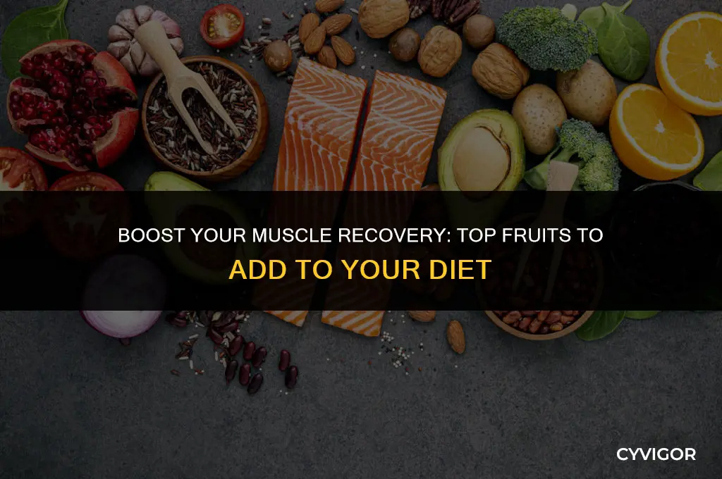 Boost Your Muscle Recovery: Top Fruits To Add To Your Diet | CyVigor