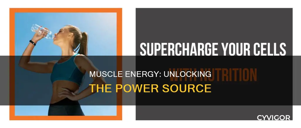 Muscle Energy: Unlocking The Power Source | CyVigor