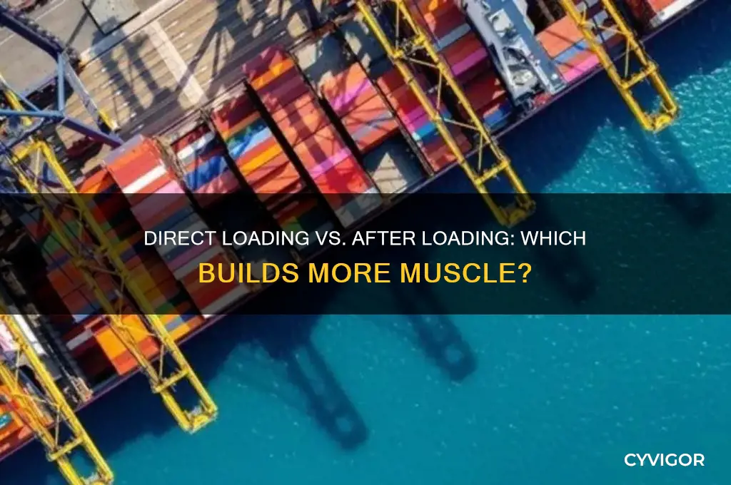 Direct Loading Vs. After Loading: Which Builds More Muscle? | CyVigor