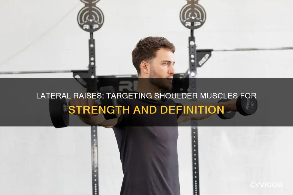 Lateral Raises: Targeting Shoulder Muscles For Strength And Definition ...
