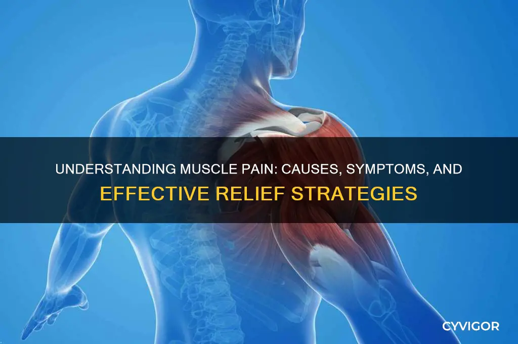 Understanding Muscle Pain: Causes, Symptoms, And Effective Relief ...