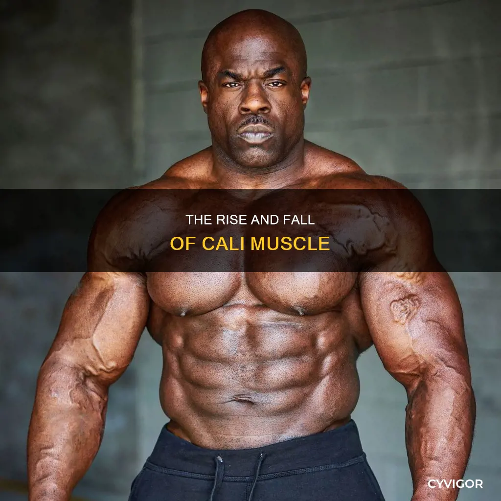 The Rise And Fall Of Cali Muscle | CyVigor