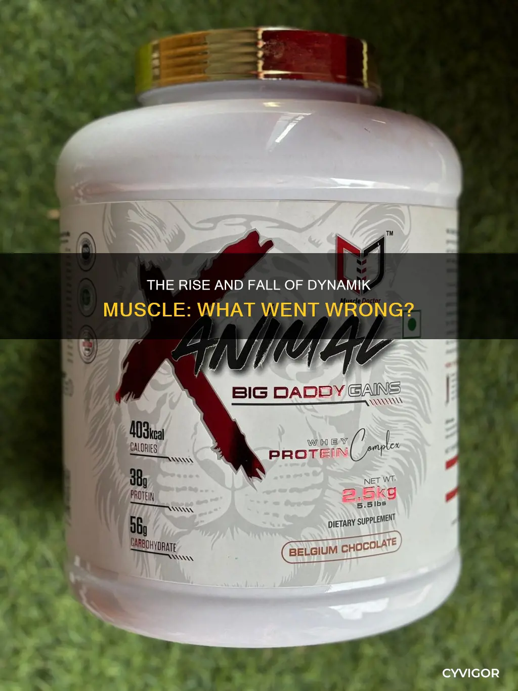 The Rise And Fall Of Dynamik Muscle: What Went Wrong? | CyVigor