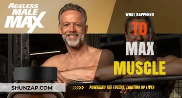 Muscle Tears: Understanding The Severity And Recovery Process | CyVigor