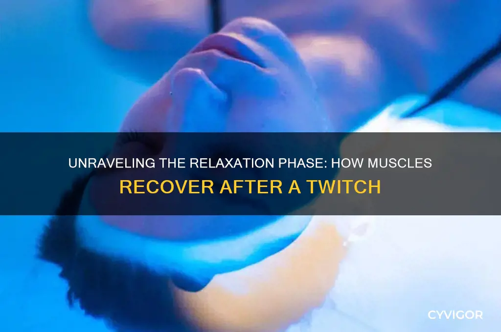 Unraveling The Relaxation Phase: How Muscles Recover After A Twitch ...