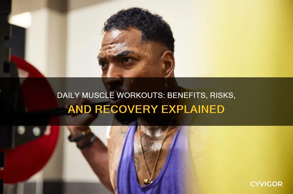 Daily Muscle Workouts: Benefits, Risks, And Recovery Explained | CyVigor