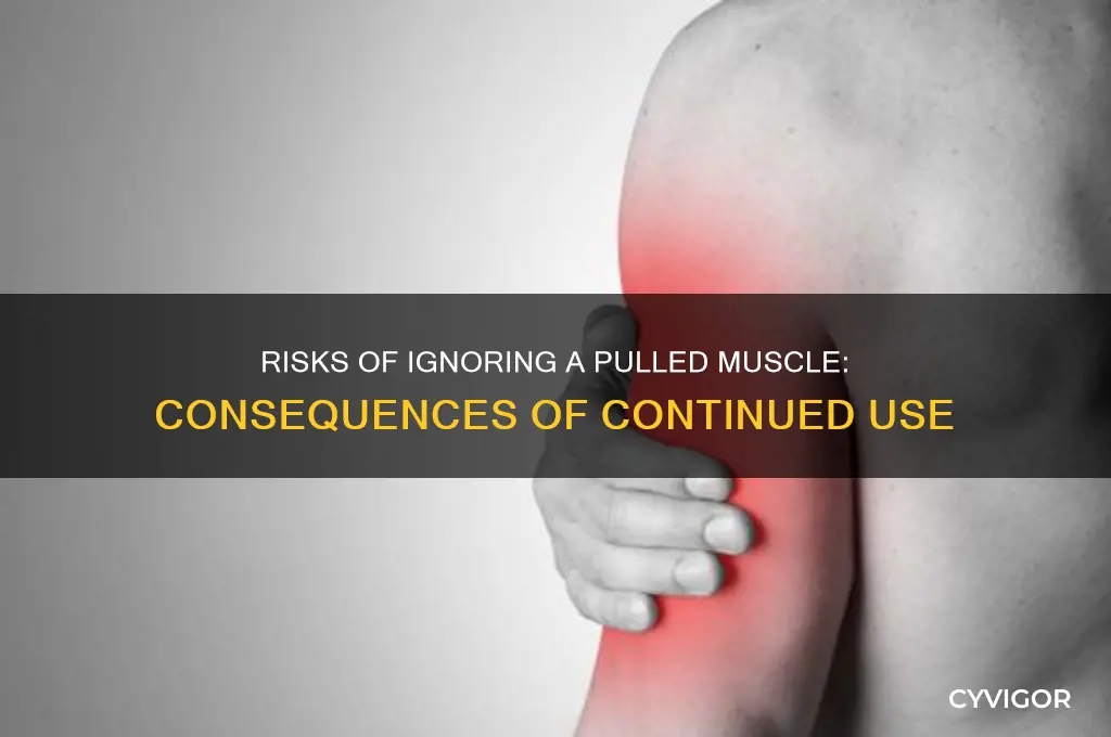 Risks Of Ignoring A Pulled Muscle: Consequences Of Continued Use | CyVigor