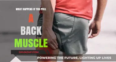 Understanding Pulled Middle Back Muscles: Symptoms, Causes, And ...