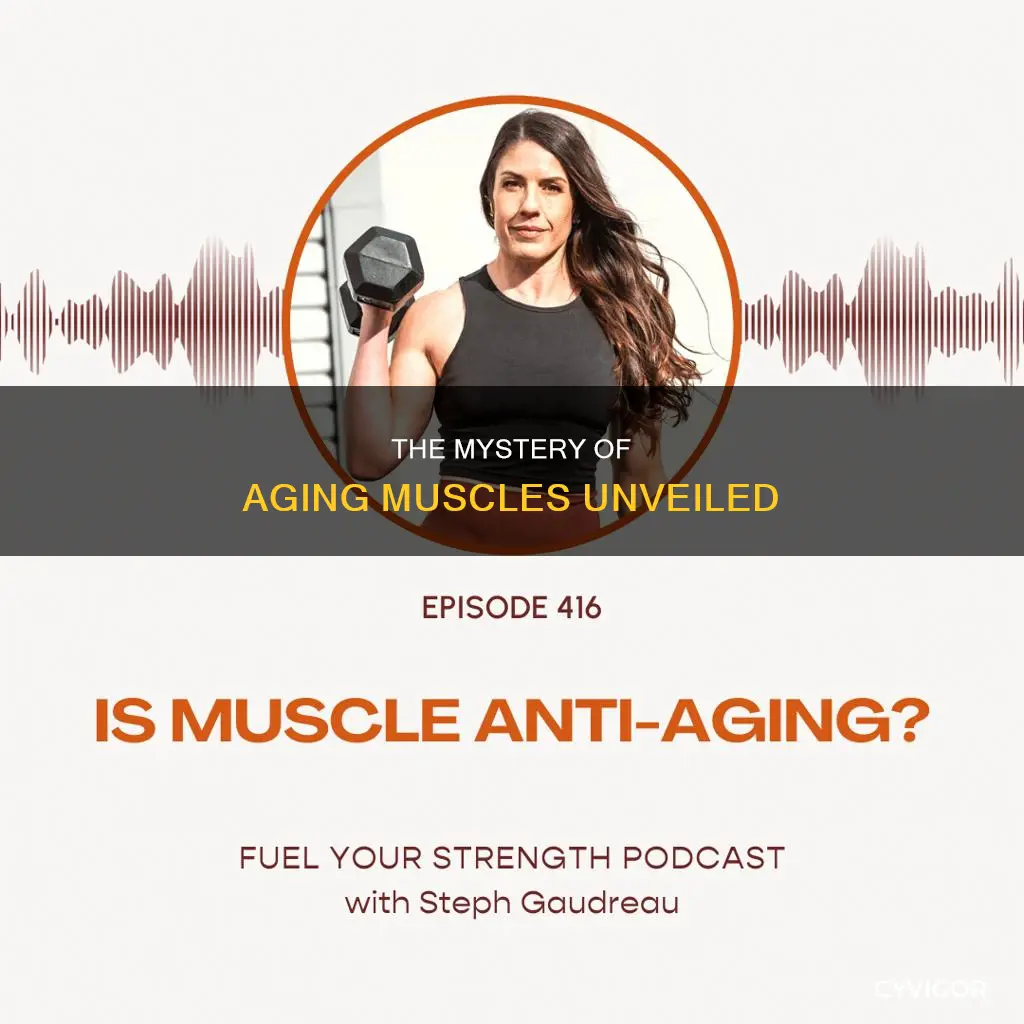 The Mystery Of Aging Muscles Unveiled | CyVigor