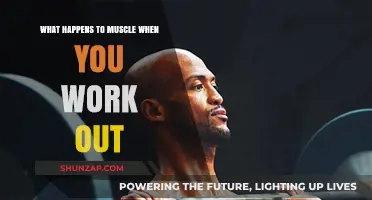 Overworking Muscles: Risks, Recovery, And Preventing Injury From ...
