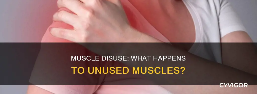 Muscle Disuse: What Happens To Unused Muscles? | CyVigor