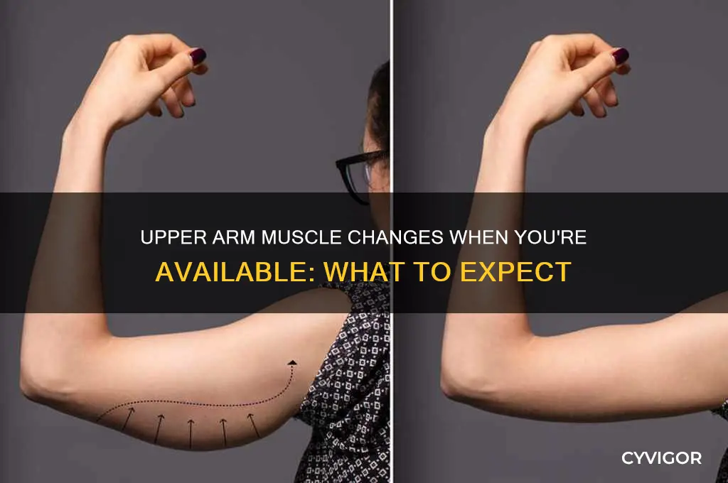 Upper Arm Muscle Changes When You're Available: What To Expect | CyVigor