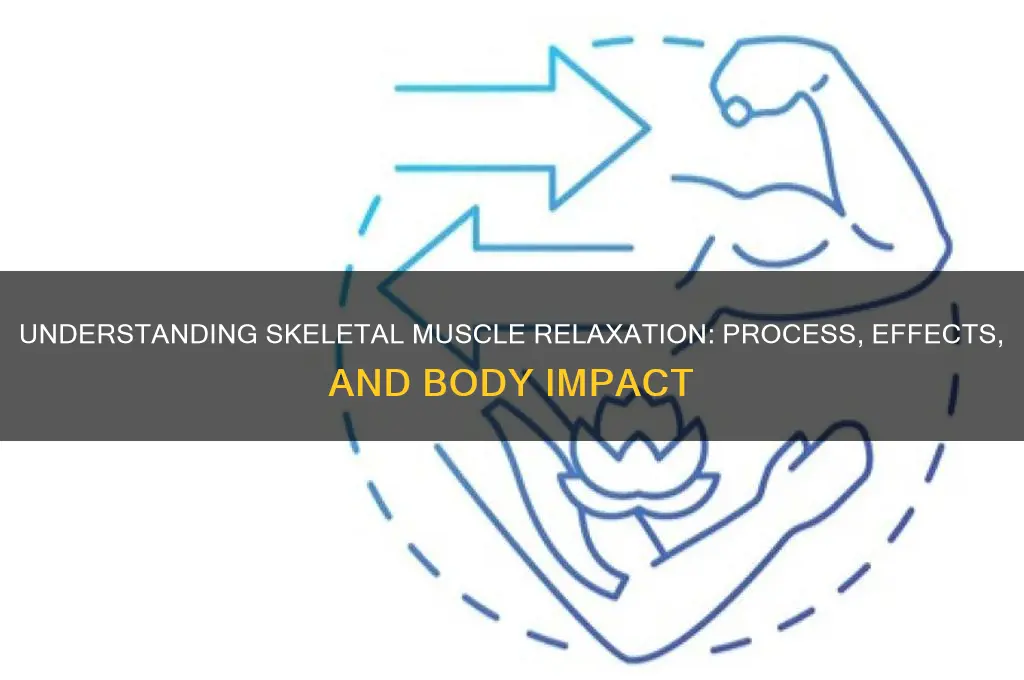 Understanding Skeletal Muscle Relaxation: Process, Effects, And Body ...