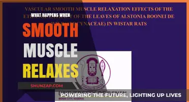 Ciliary Muscle Relaxation: How It Affects Eye Focus And Vision | CyVigor
