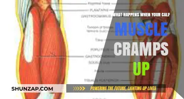 Understanding Calf Muscle Cramps: Causes, Symptoms, And Relief | CyVigor