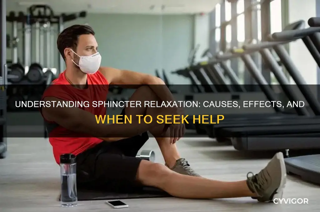 Understanding Sphincter Relaxation: Causes, Effects, And When To Seek ...