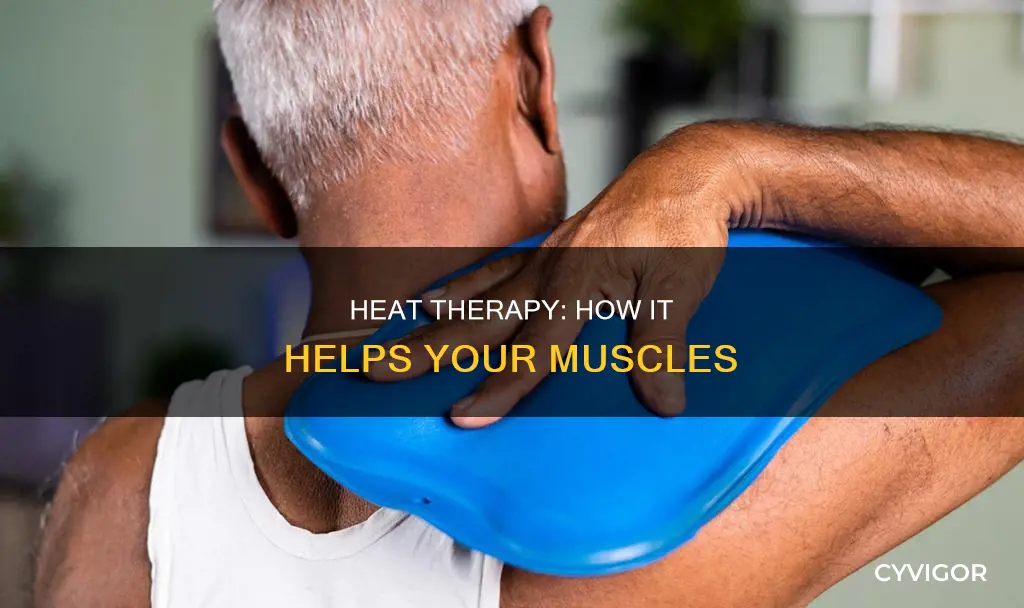 Heat Therapy: How It Helps Your Muscles | CyVigor